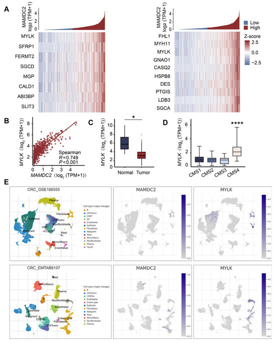 The Expression and Molecular Roles of MAMDC2 in MSS Colorectal Cancer ...