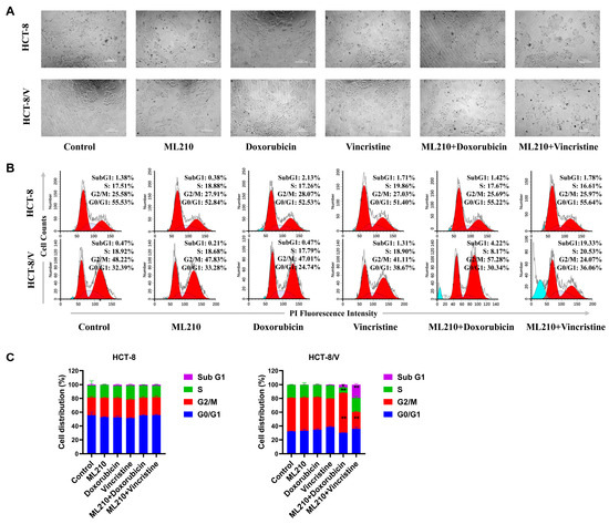 ML210 Antagonizes ABCB1- Not ABCG2-Mediated Multidrug Resistance in ...