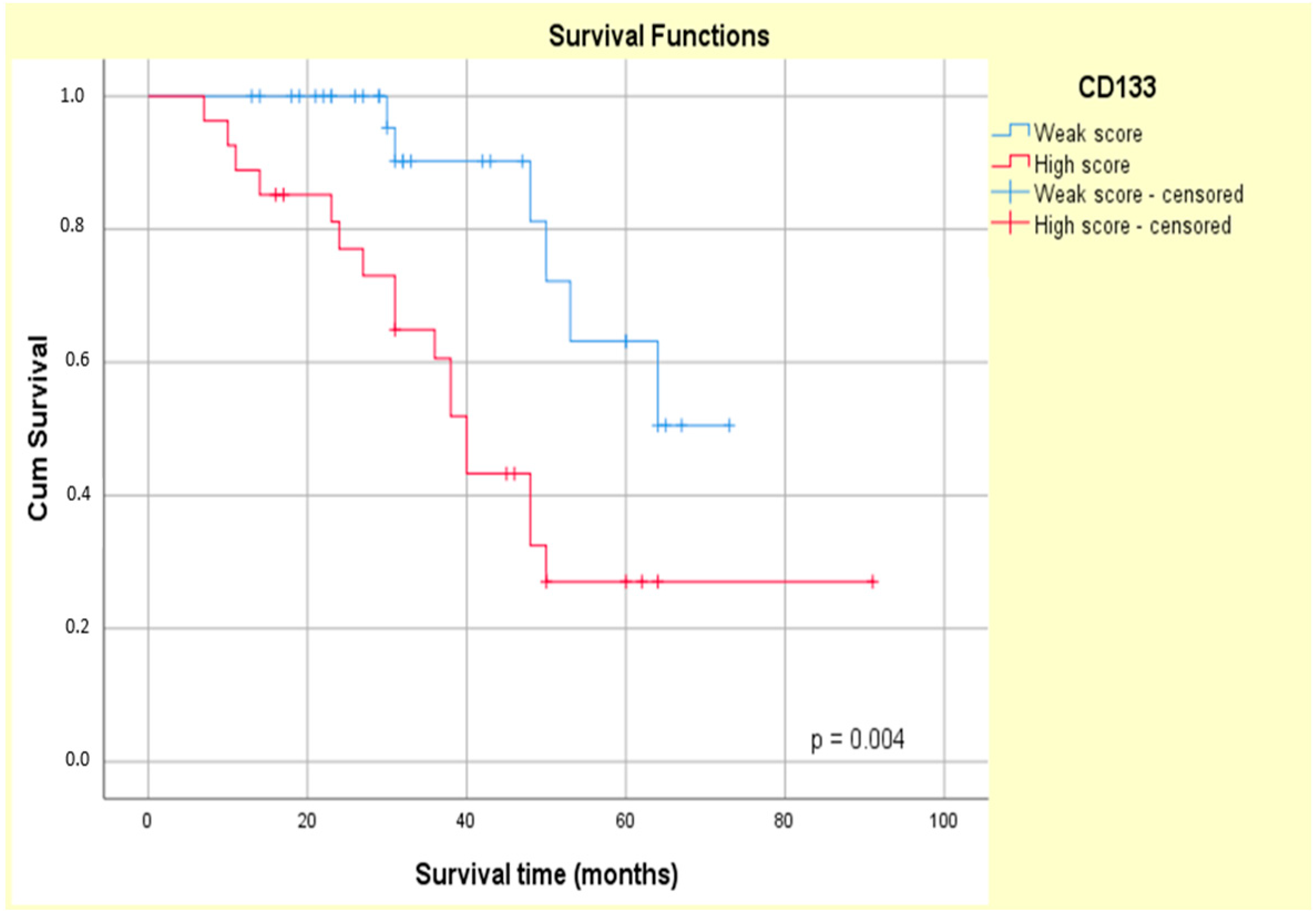 CD133 and CD166 Stem Cells Markers Expression, Clinicopathological Parameters, and Fragmentation ...