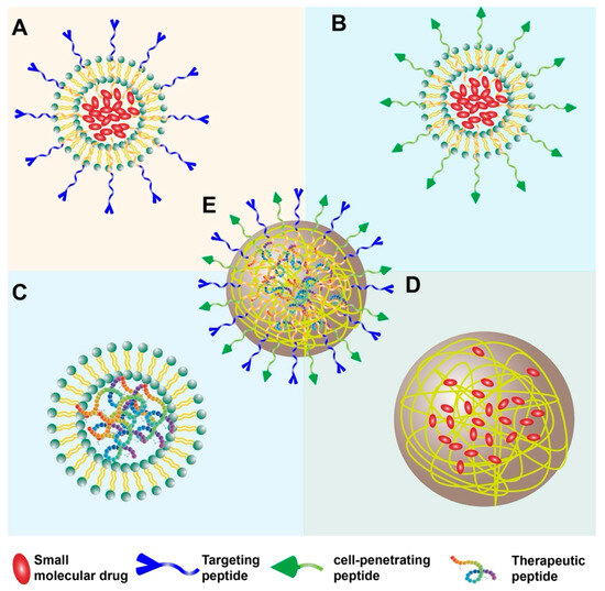 Peptide-Based Nanoparticle for Tumor Therapy