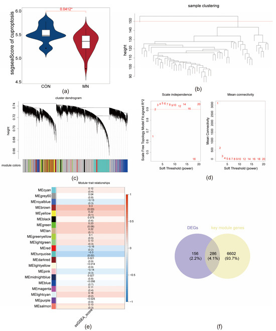 Identification Exploring the Mechanism and Clinical Validation of ...
