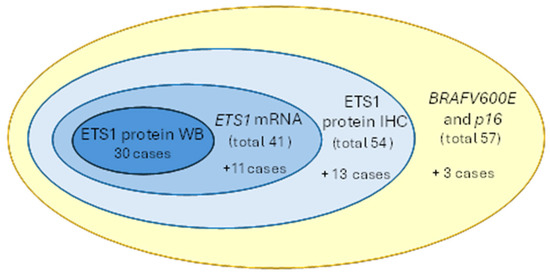 Implication of p16 Promoter Methylation, the BRAFV600E Mutation, and ETS1 Expression ...
