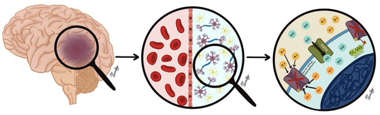 Cerebral Edema in Traumatic Brain Injury