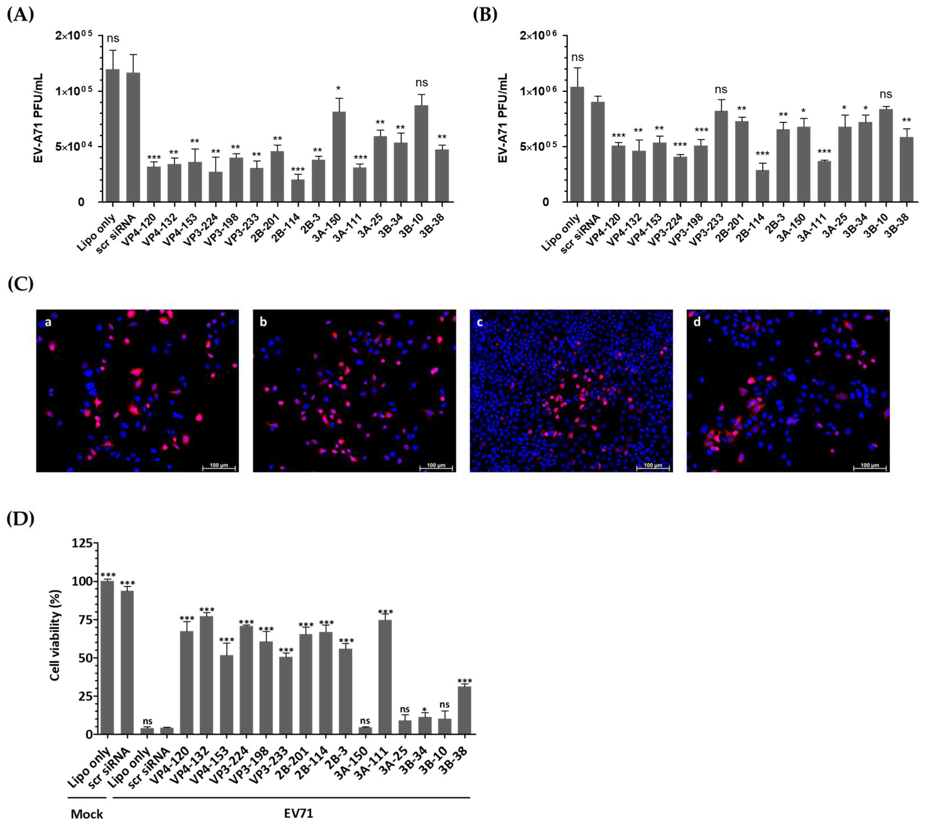 Small Interfering RNAs Targeting VP4, VP3, 2B, or 3A Coding Regions of ...