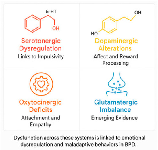 Understanding the Borderline Brain: A Review of Neurobiological ...