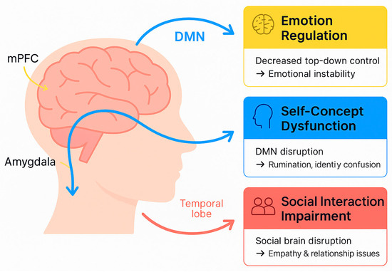 Understanding the Borderline Brain: A Review of Neurobiological ...