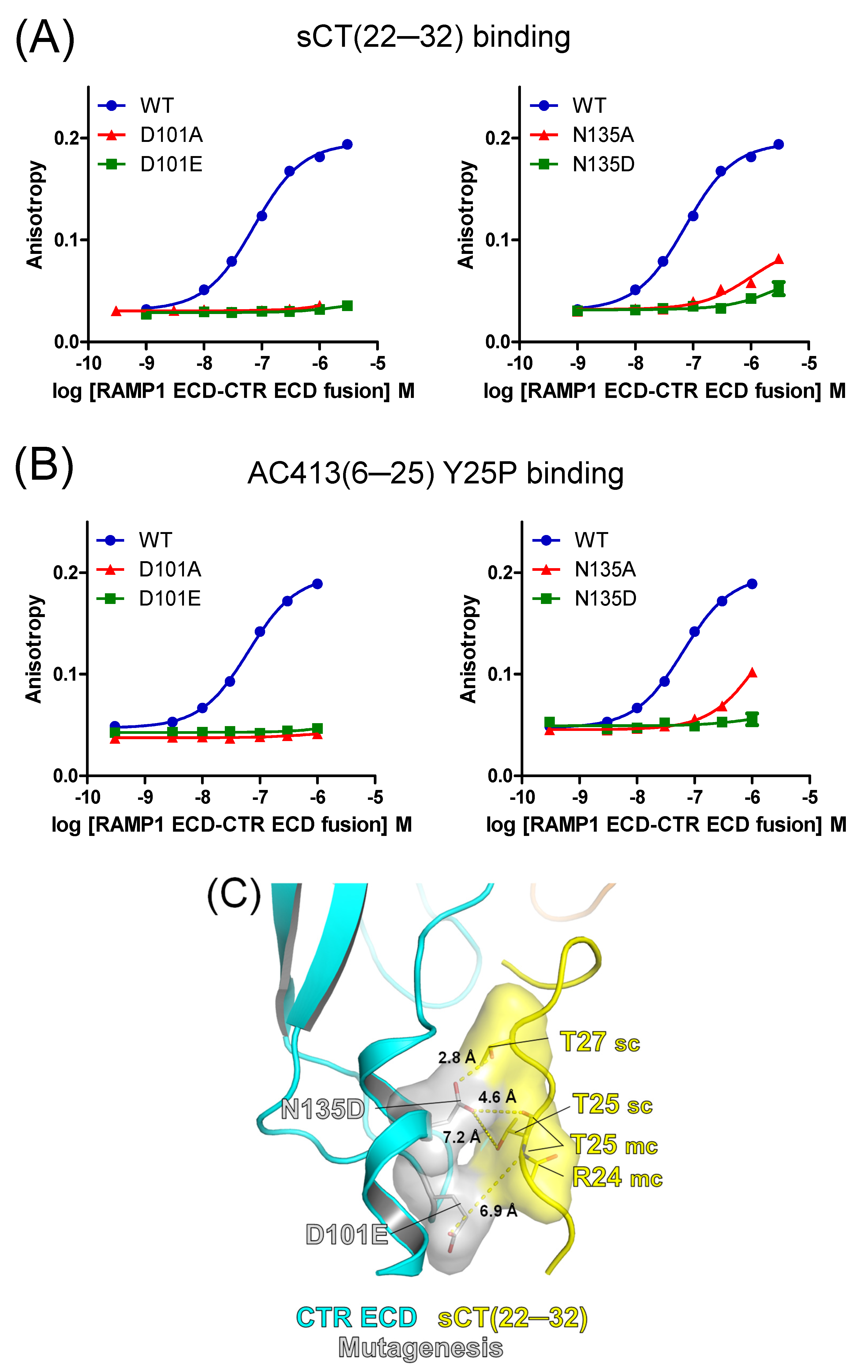 Amylin Receptor 1 Mutagenesis Revealed a Potential Role of Calcitonin ...
