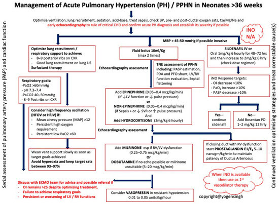 Persistent Pulmonary Hypertension of the Newborn: A Pragmatic Review of ...