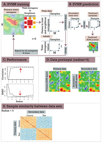 Projection of High-Dimensional Genome-Wide Expression on SOM ...