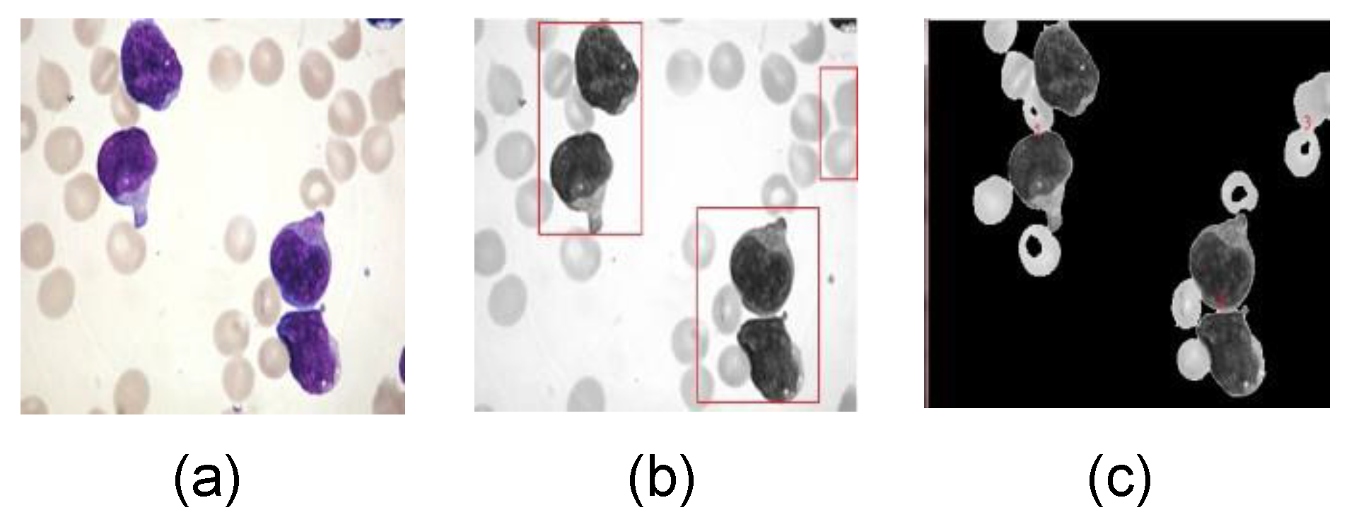 Geometric Feature Extraction for Identification and Classification of ...