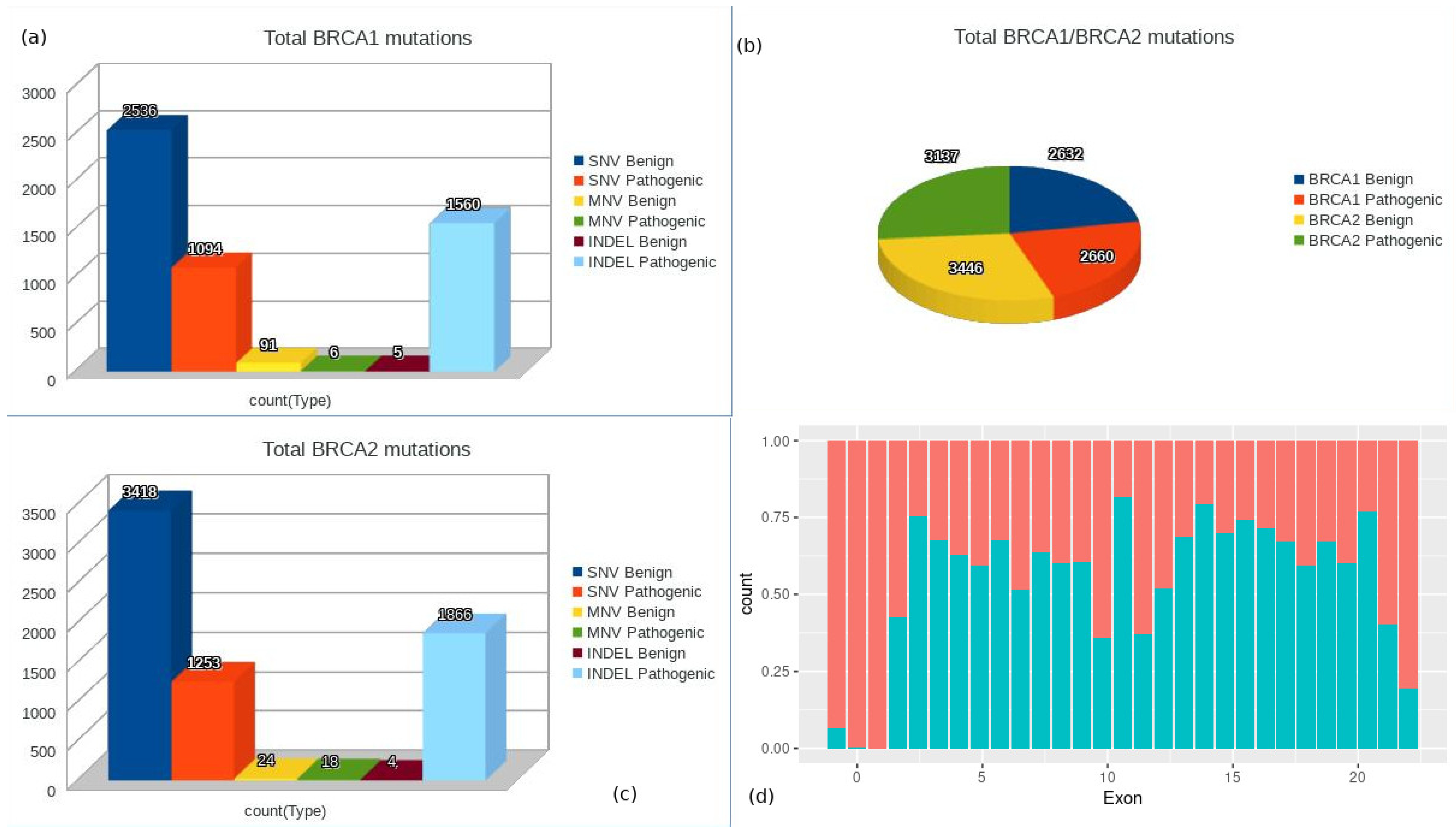 Deep Learning Architecture Optimization with Metaheuristic Algorithms for Predicting BRCA1/BRCA2 ...