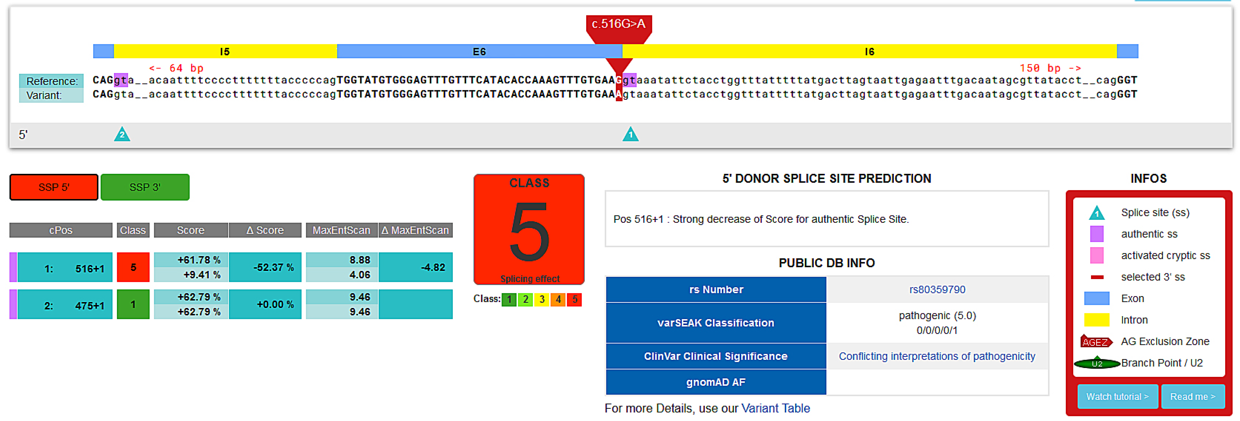 Deep Learning Architecture Optimization with Metaheuristic Algorithms for Predicting BRCA1/BRCA2 ...