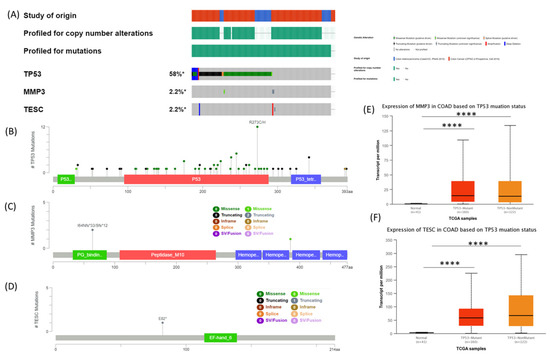 BioMedInformatics | Free Full-Text | Analysis of Differentially ...