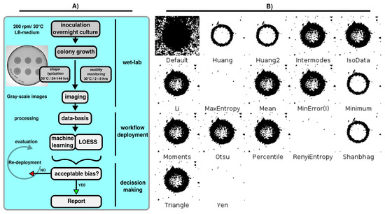 A Machine Learning-Empowered Workflow to Discriminate Bacillus subtilis ...