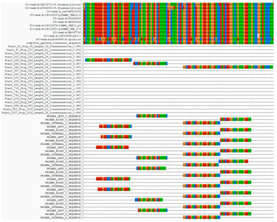 ConsensusPrime—A Bioinformatic Pipeline for Ideal Consensus Primer Design