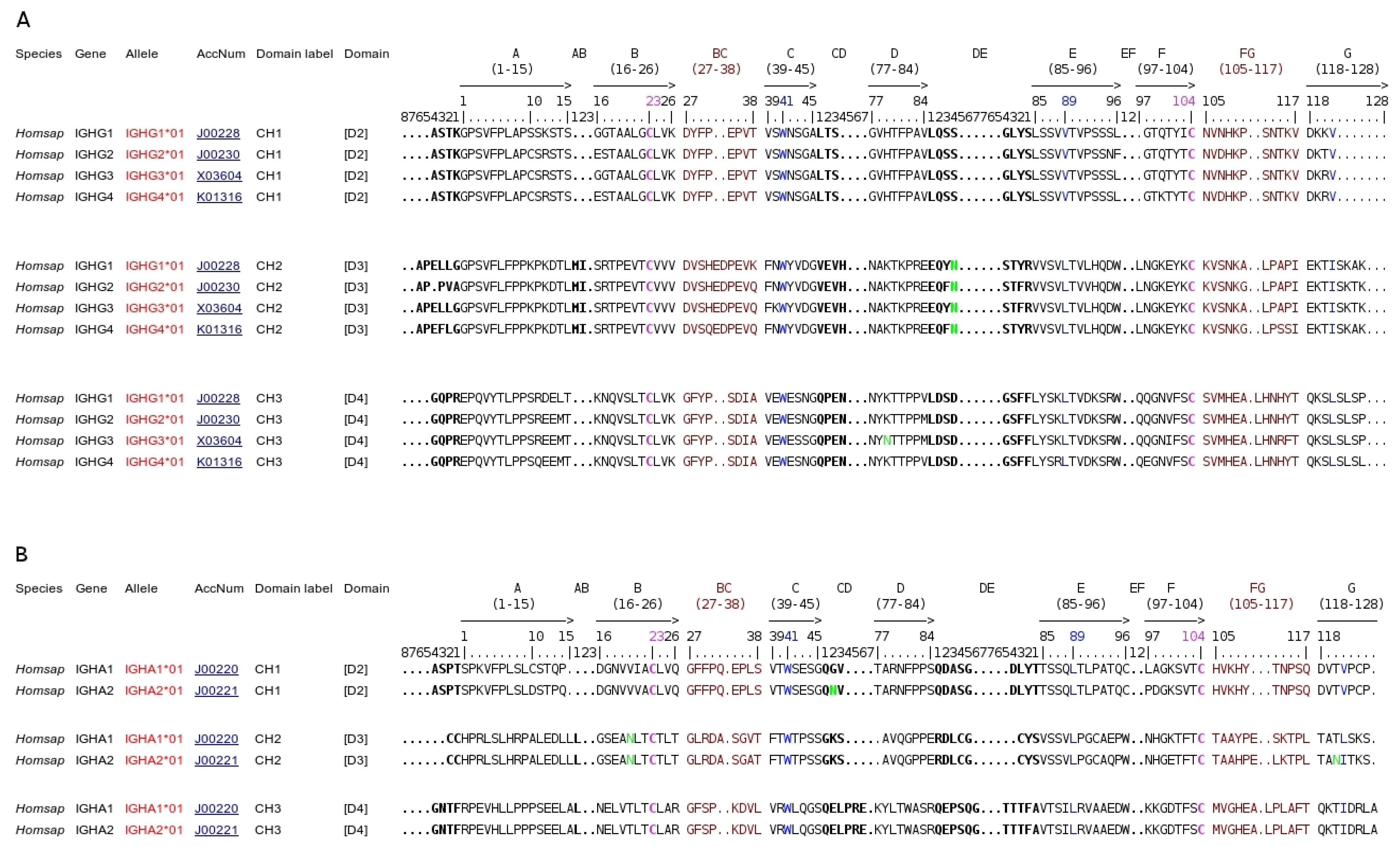BioMedInformatics | Free Full-Text | Human Gm, Km, and Am Allotypes: WHO/IMGT Nomenclature and ...