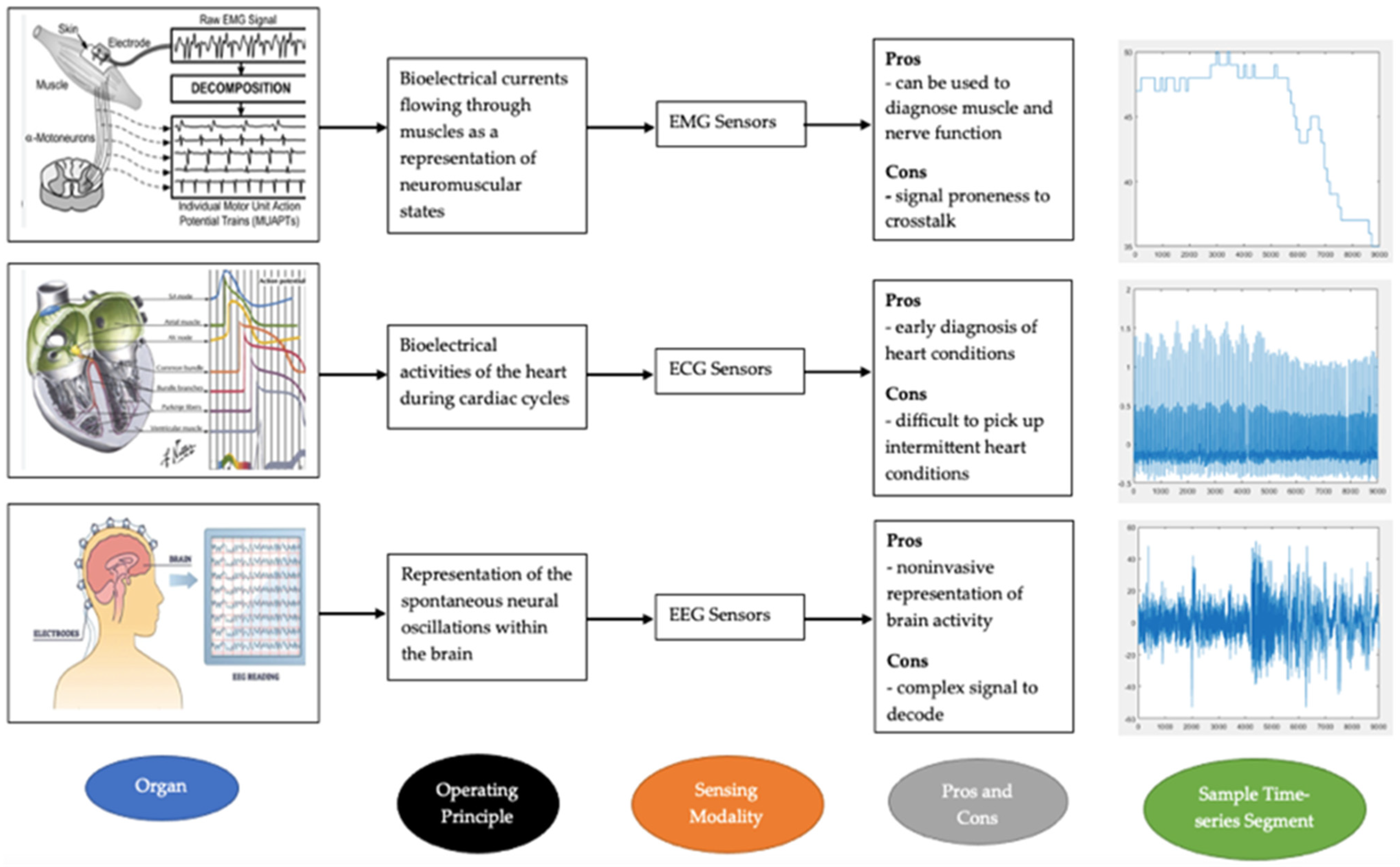 BioMedInformatics | Free Full-Text | Towards an Affordable Means of Surgical Depth of Anesthesia ...