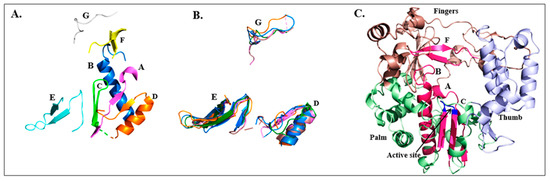Identification of a New Drug Binding Site in the RNA-Dependent-RNA ...