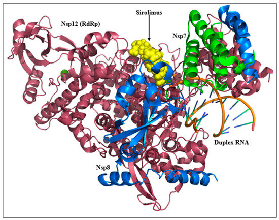 BioMedInformatics | Free Full-Text | Identification of a New Drug ...