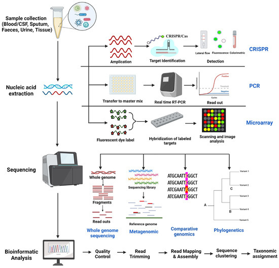 Genomics for Emerging Pathogen Identification and Monitoring: Prospects and Obstacles
