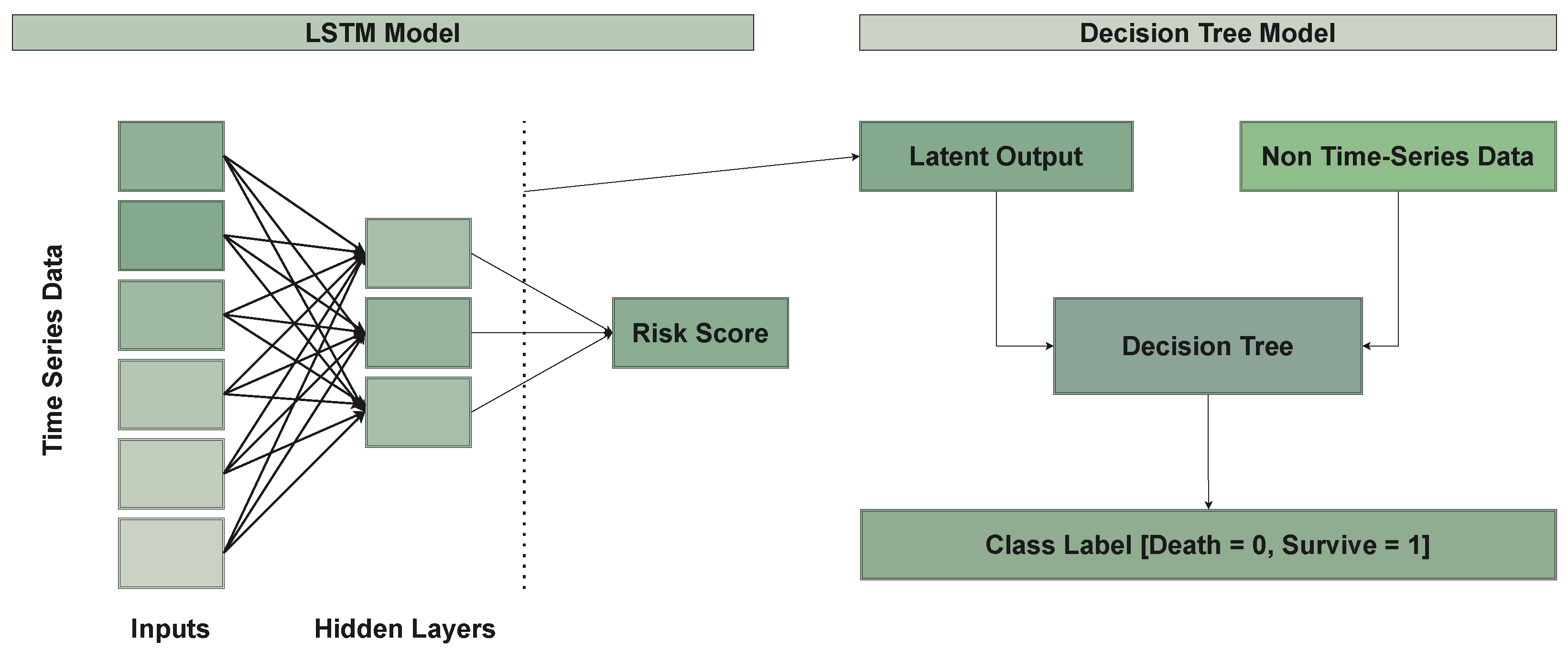 BioMedInformatics | Free Full-Text | An Open-Access Dataset of ...