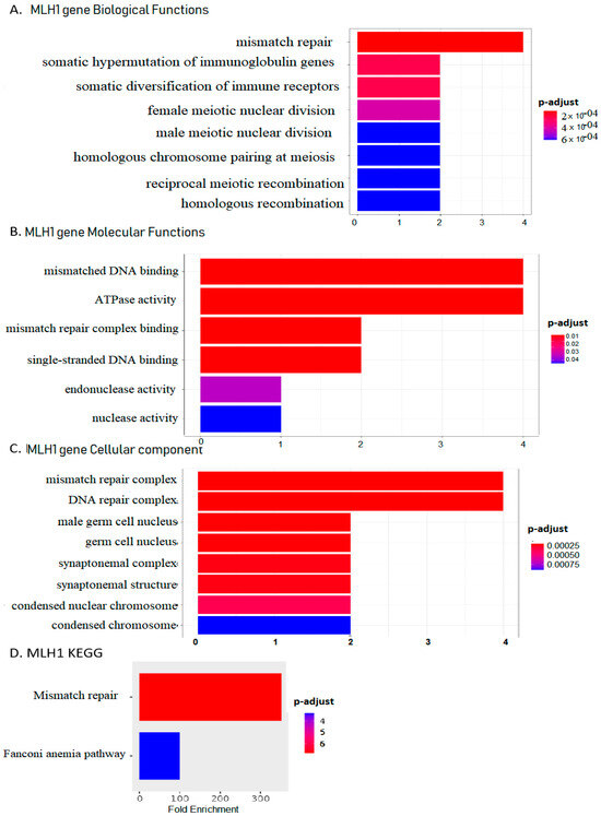 Depleted-MLH1 Expression Predicts Prognosis and Immunotherapeutic ...