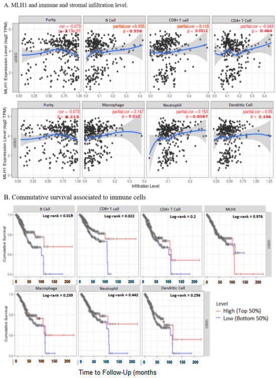Depleted-MLH1 Expression Predicts Prognosis and Immunotherapeutic ...