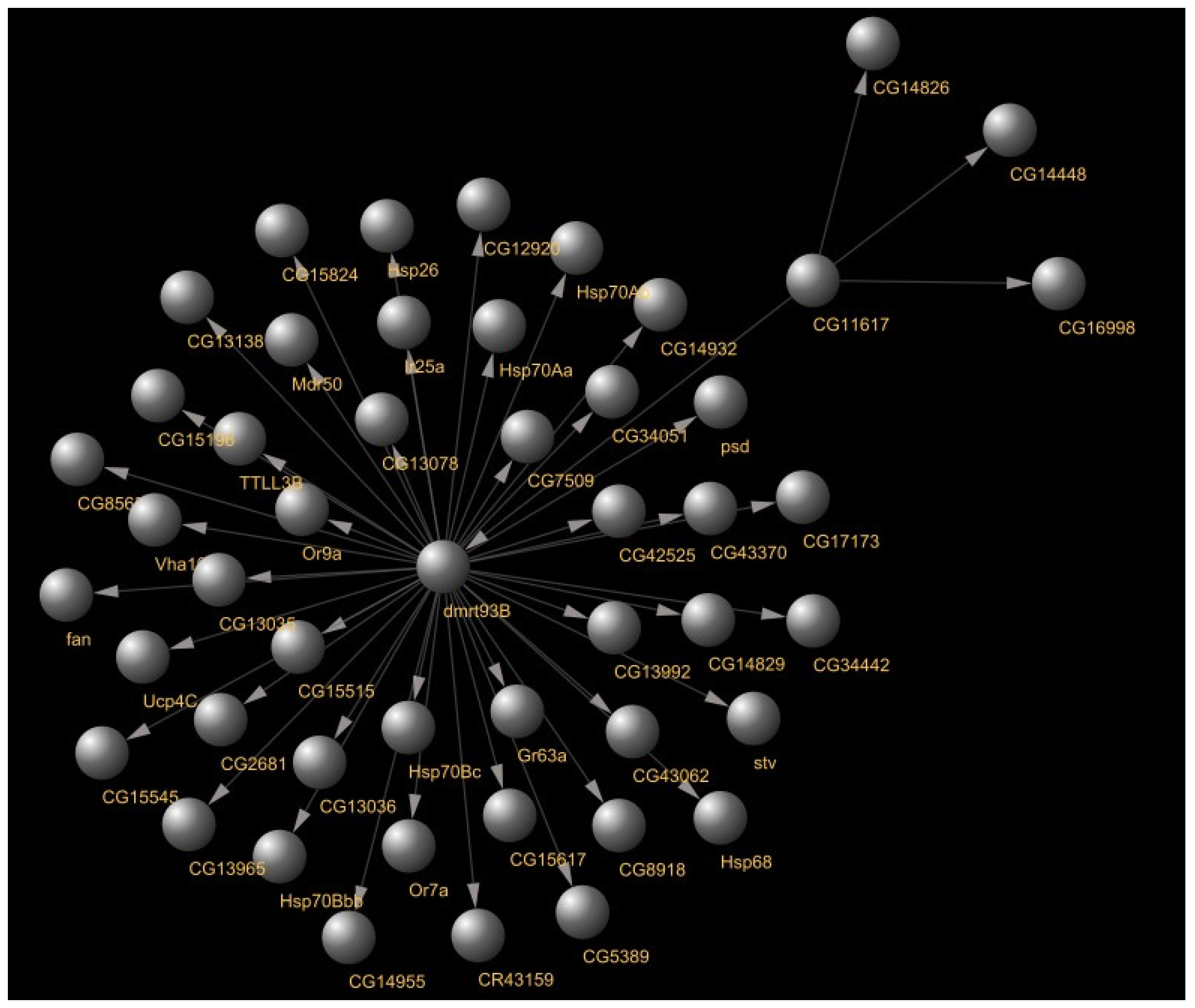 Drosophila Eye Gene Regulatory Network Inference Using BioGRNsemble: An ...