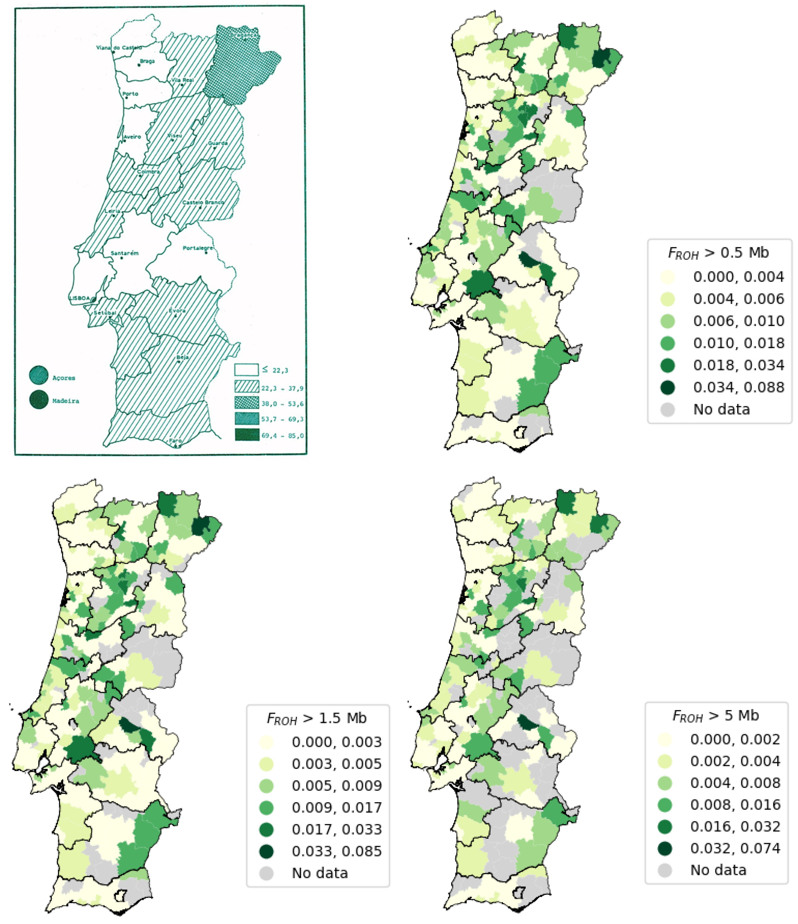 Analysis of Regions of Homozygosity: Revisited Through New ...