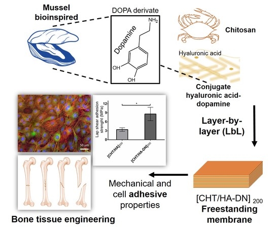 Biomimetics | Free Full-Text | Cell-Adhesive Bioinspired and Catechol ... Biomimetics | Free Full-Text | Cell-Adhesive Bioinspired and Catechol ...