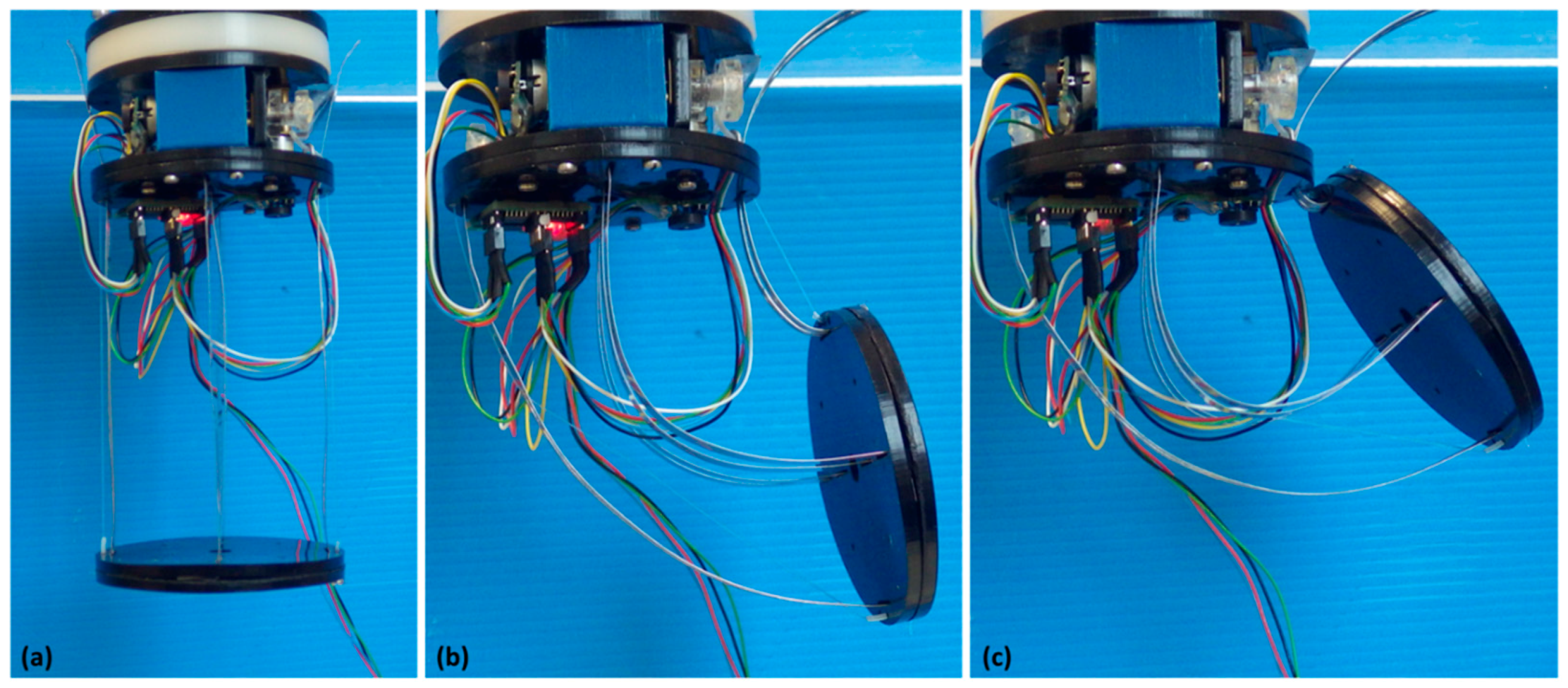 Modular Continuum Manipulator: Analysis and Characterization of Its ...