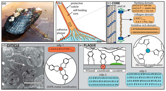 An Overview of Bioinspired and Biomimetic Self-Repairing Materials