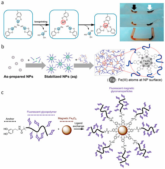Biomimetics | Free Full-Text | Bioinspired Metal–Polyphenol Materials: Self-Healing and Beyond