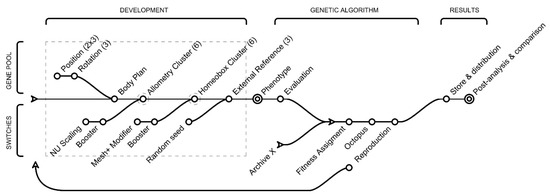 Evo-Devo Algorithms: Gene-Regulation for Digital Architecture