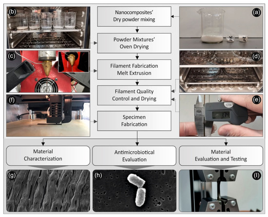 Biomimetics | Free Full-Text | Three-Dimensional Printed Antimicrobial ...