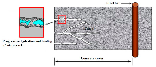 Biomimetic Self-Healing Cementitious Construction Materials for Smart ...