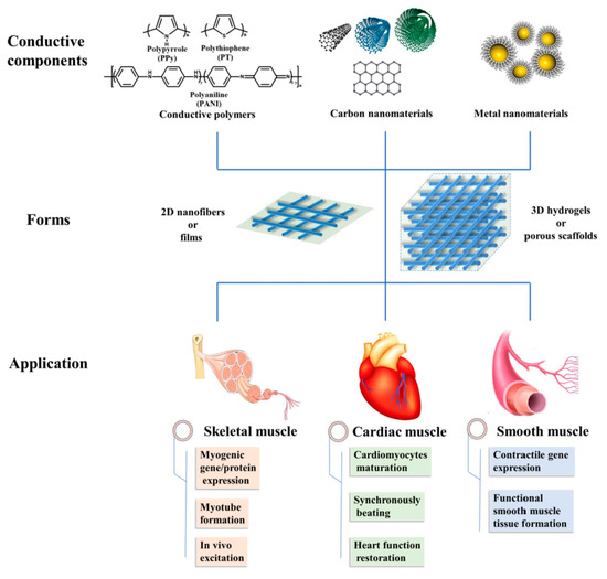 Biomimetic Hybrid Systems for Tissue Engineering