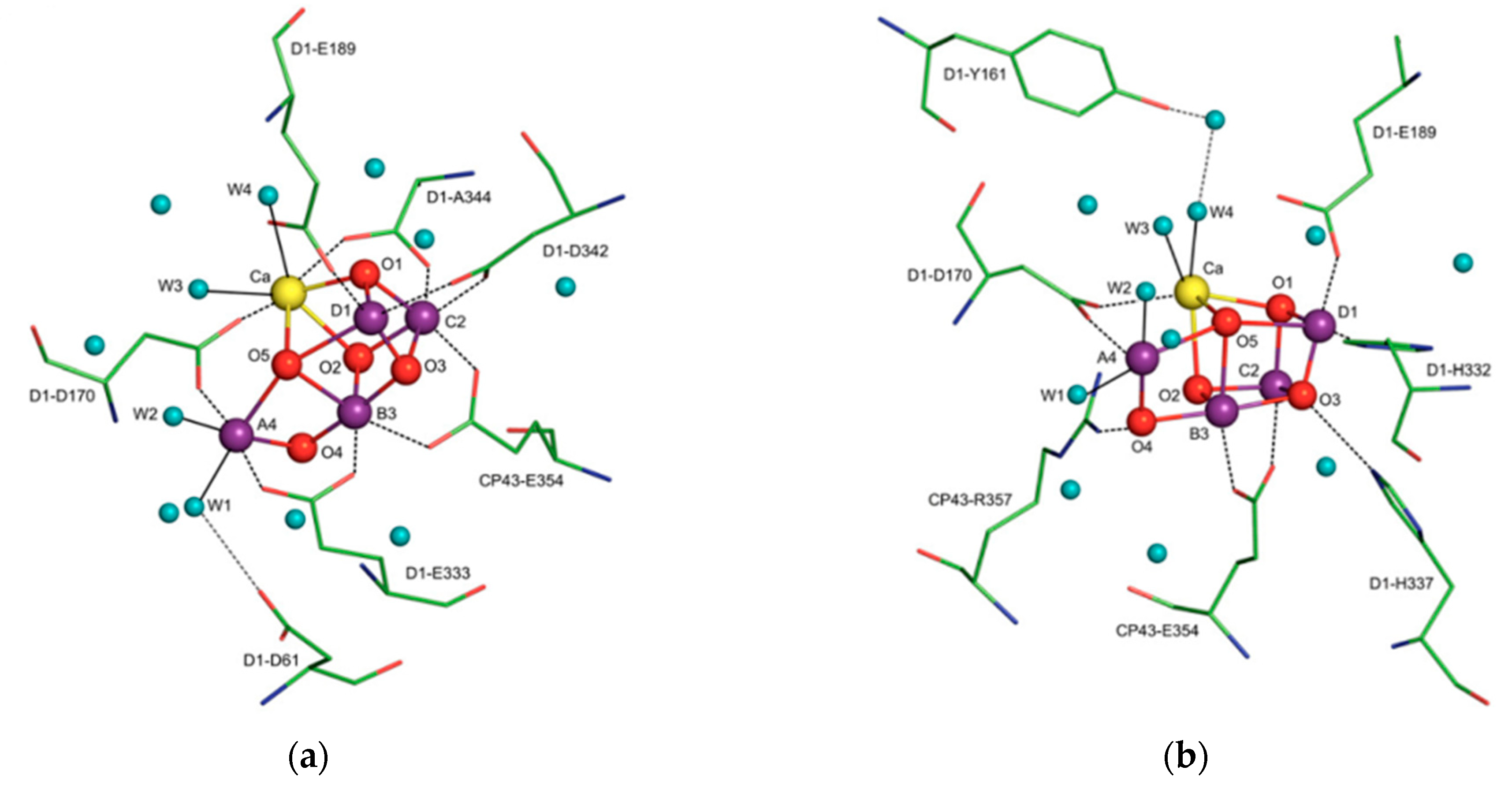 Using X-ray Diffraction Techniques for Biomimetic Drug Development ...