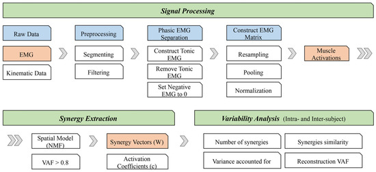 Biomimetics | Free Full-Text | Intra-Subject and Inter-Subject Movement ...