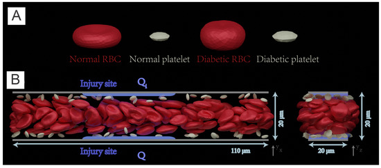 Recent Advances in Computational Modeling of Biomechanics and ...