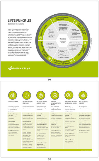 Building from the Bottom Up: A Closer Look into the Teaching and ...