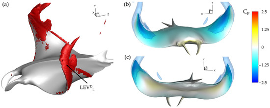 Bio-Inspired Propulsion: Towards Understanding the Role of Pectoral Fin ...
