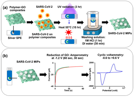 Molecularly Imprinted Polymer-Based Sensors for SARS-CoV-2: Where Are ...