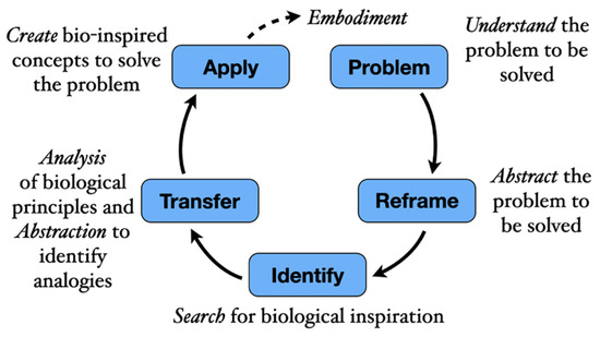 Understanding the Use of Bio-Inspired Design Tools by Industry ...