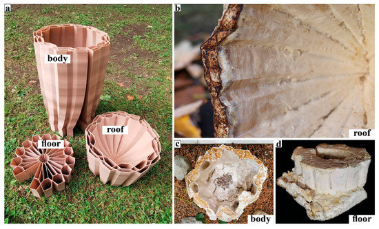 Mycelial Beehives of HIVEOPOLIS: Designing and Building Therapeutic ...