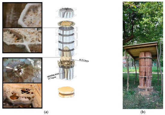 Mycelial Beehives of HIVEOPOLIS: Designing and Building Therapeutic ...