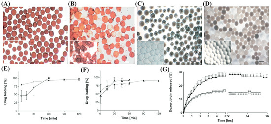 Emerging Polymer Materials in Trackable Endovascular Embolization and ...