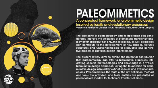 Biomimetics | Free Full-Text | Paleomimetics: A Conceptual Framework ...