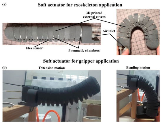 Design and Development of a Multi-Functional Bioinspired Soft Robotic ...