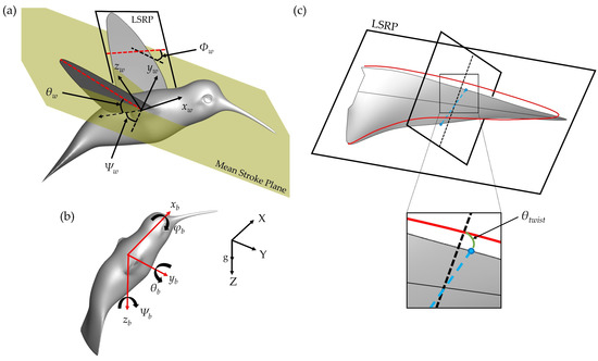 Biomimetics | Free Full-Text | Wing Kinematics and Unsteady ...